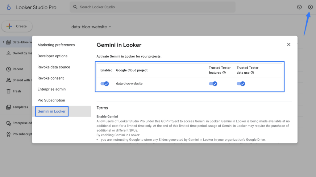 Introducing Looker Studio Gemini AI - Data Bloo