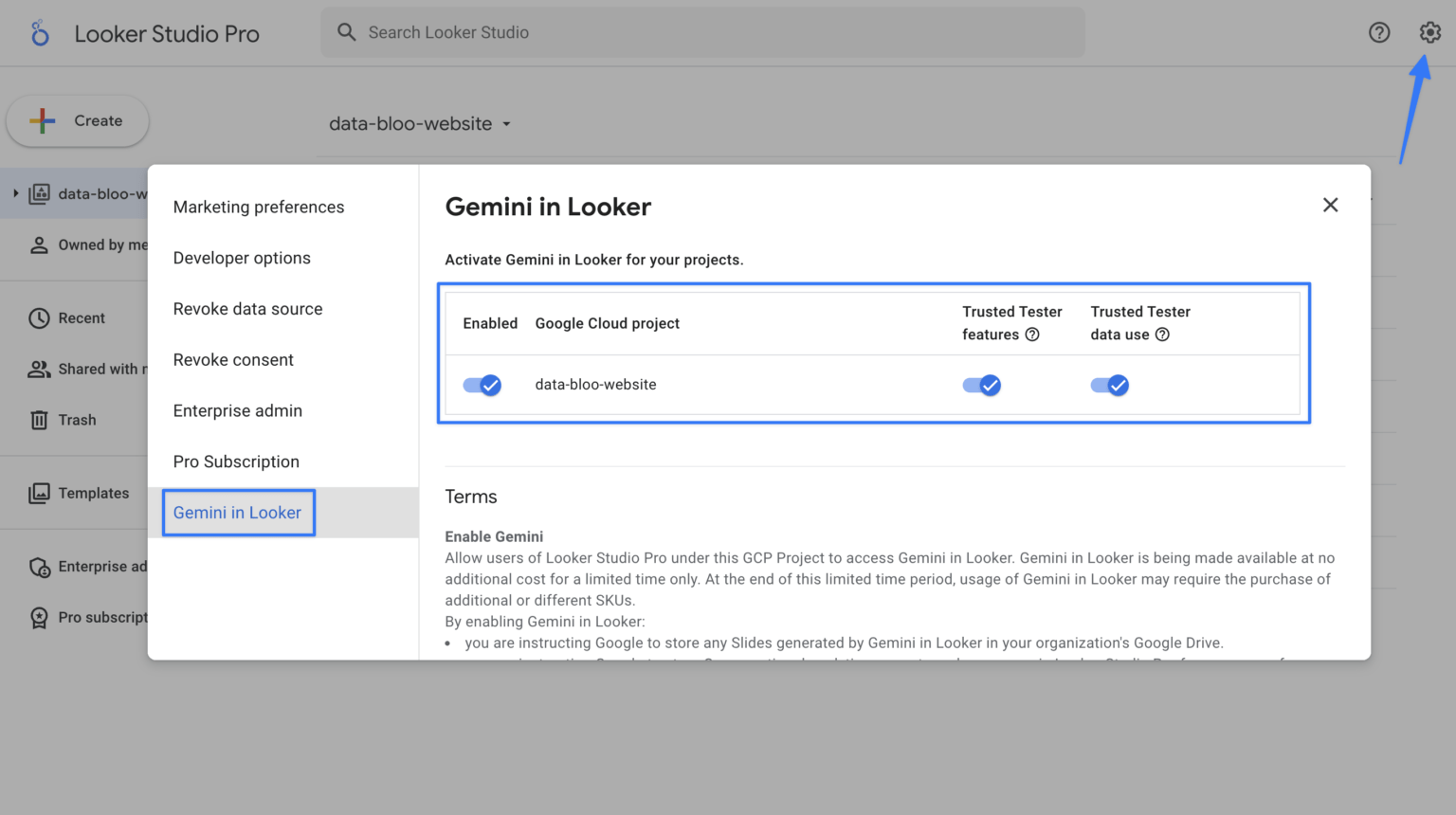 Introducing Looker Studio Gemini AI - Data Bloo