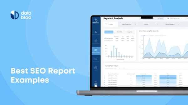 8+1 Best SEO Report Examples for 2026 - Data Bloo